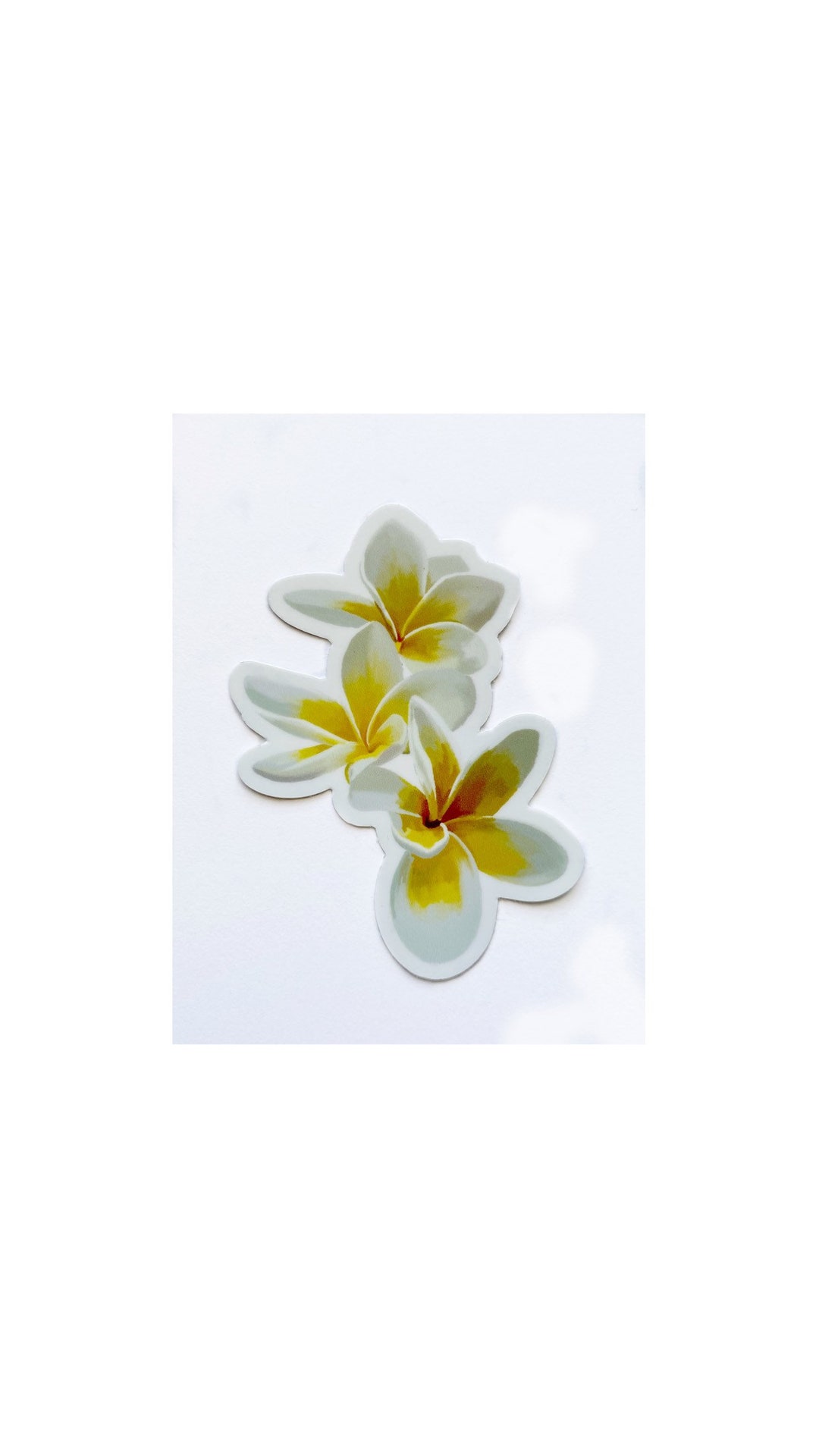 Plumeria Sticker Tropical Flower Vinyl Sticker 2x3 Inch Laptop Water ...