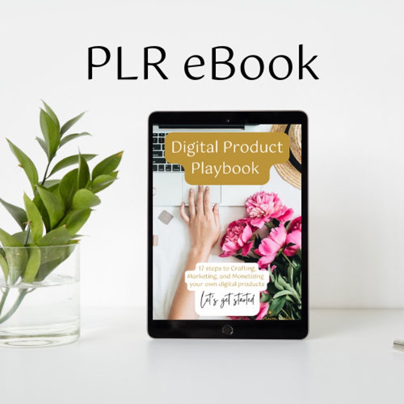 Digital Product Playbook With PLR - Etsy