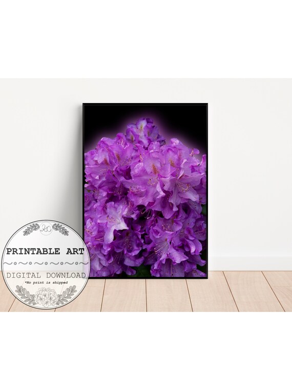 Neon Purple Rhododendron Flower Photography Art Digital - Etsy