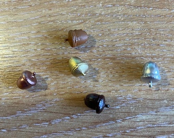 TINY Acorns Small Real Acorns Natural Acorns Rustic Decor Thanksgiving ...