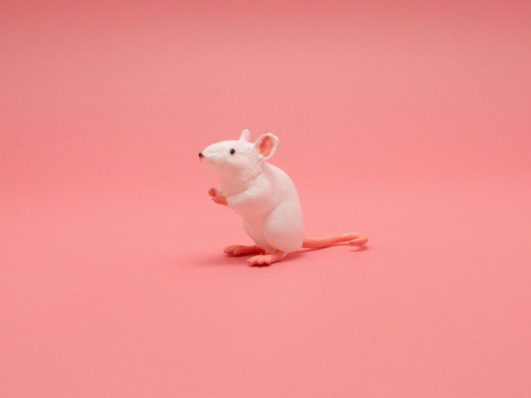 White Mouse Miniature, Tiny Animal Figurine, Dollhouse Decor, Diorama ...