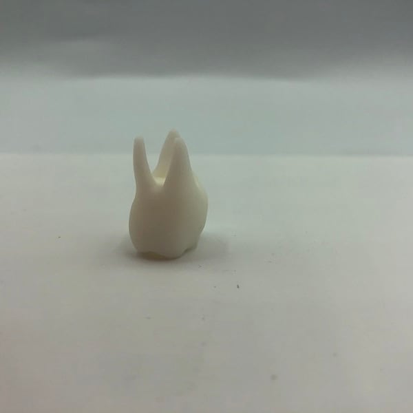 Flipper Tooth - Etsy