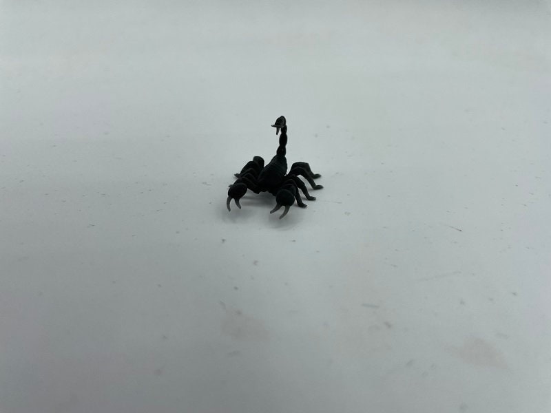 Miniature Resin Scorpion Figurine: Wildlife Collectible Display - Etsy
