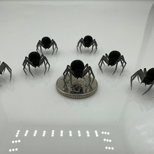 Small Miniature Spider, Miniature Spiders, Terrarium - Etsy