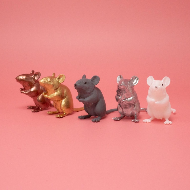 Tiny Mouse Prints - Etsy UK