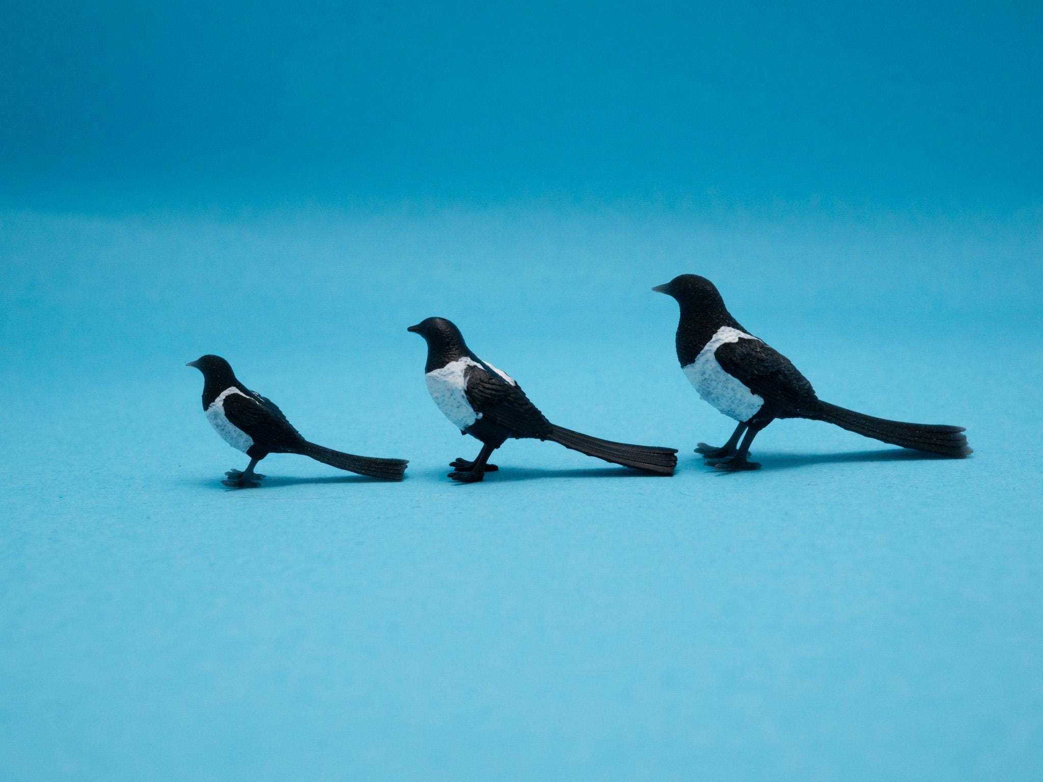 Realistic Resin Magpie Miniature: Hand-painted Bird Figurine - Etsy