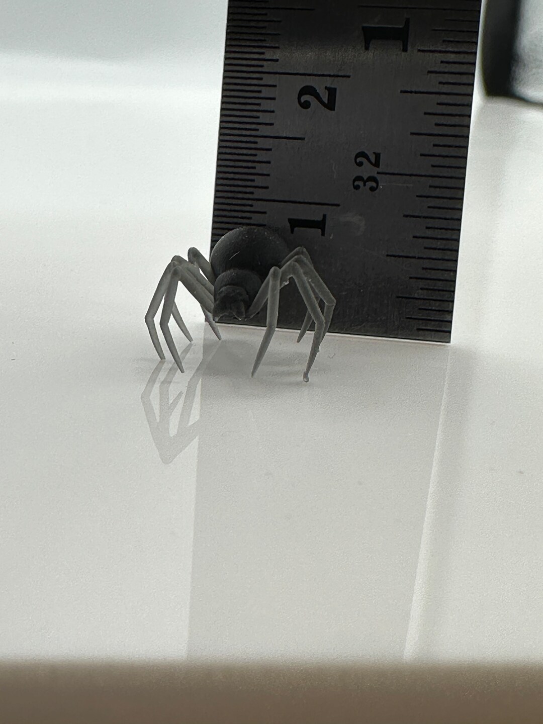 Small Miniature Spider, Miniature Spiders, Terrarium - Etsy