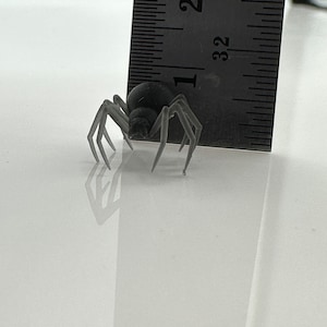 Small Miniature Spider, Miniature Spiders, Terrarium - Etsy