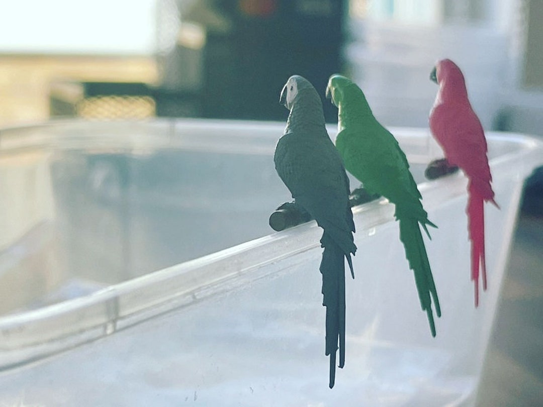 Miniature Resin Parrot Figurine: Tropical Bird Lover Gift - Etsy