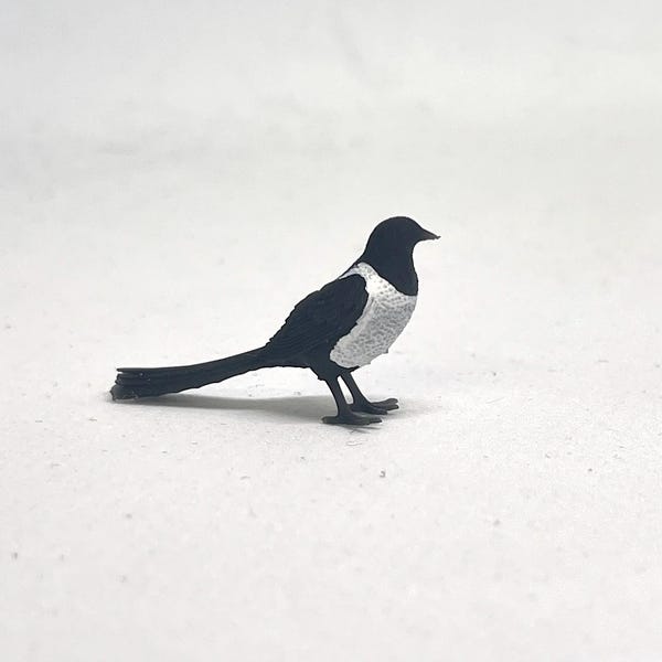 Magpie - Etsy Australia