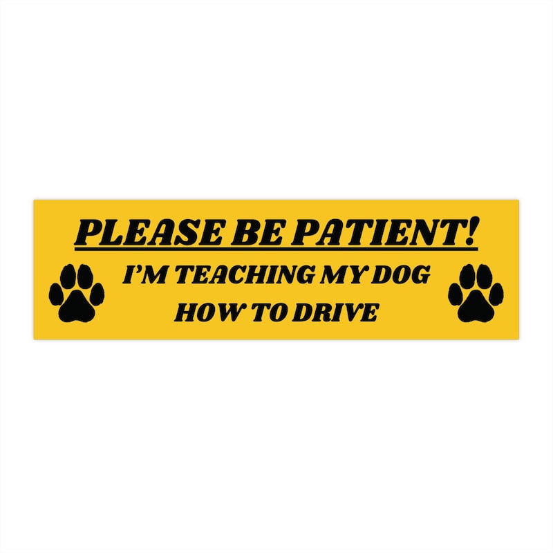 Dog Driving Car - Etsy