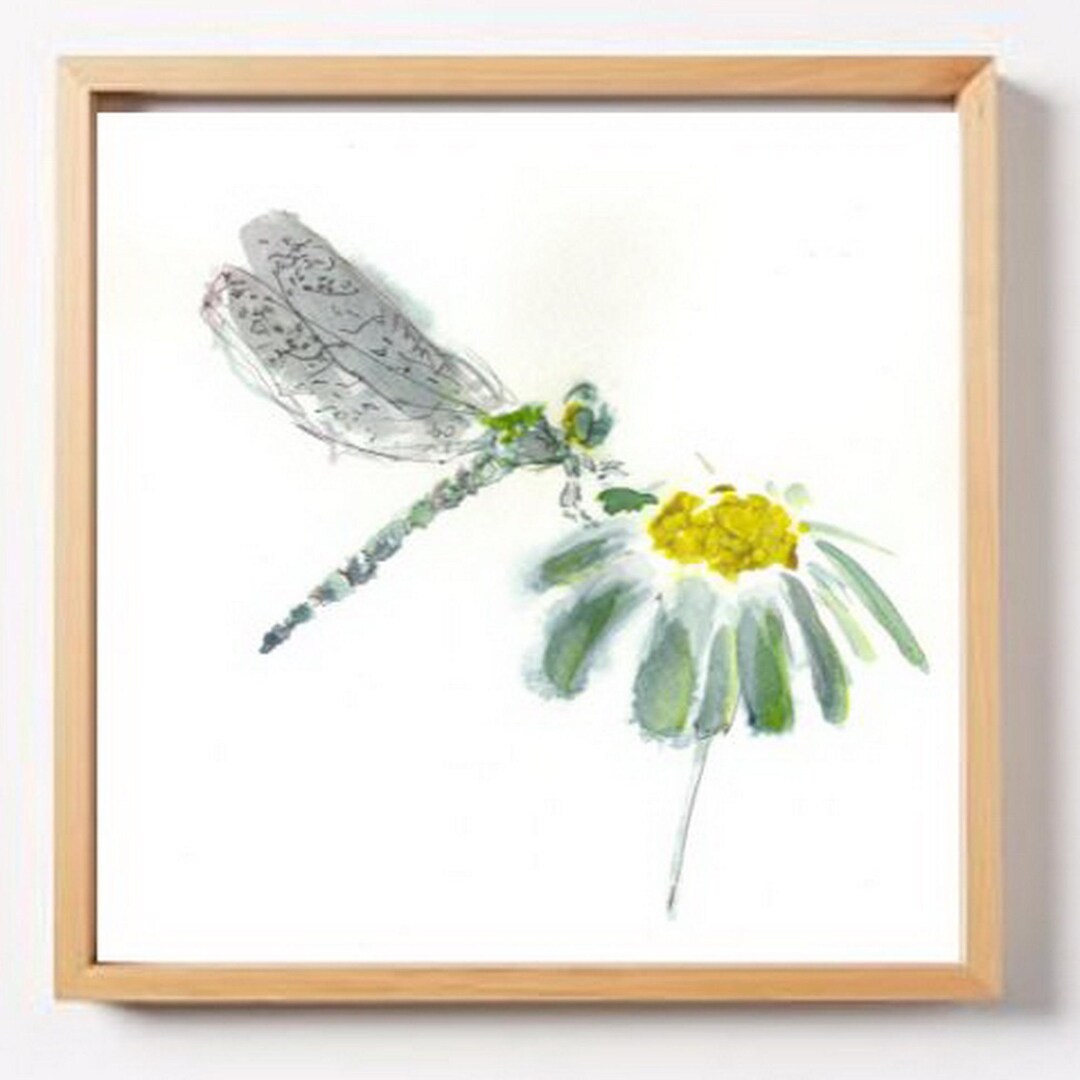 Dragonfly on Daisy Poster Water Insects Print - Etsy