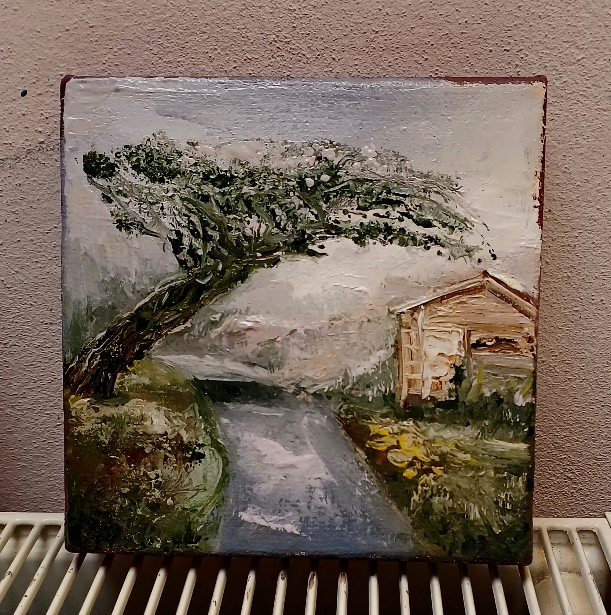 Leaning Tree California 6x6in/15x15cm/slanted Tree Point Reyes Ca ...