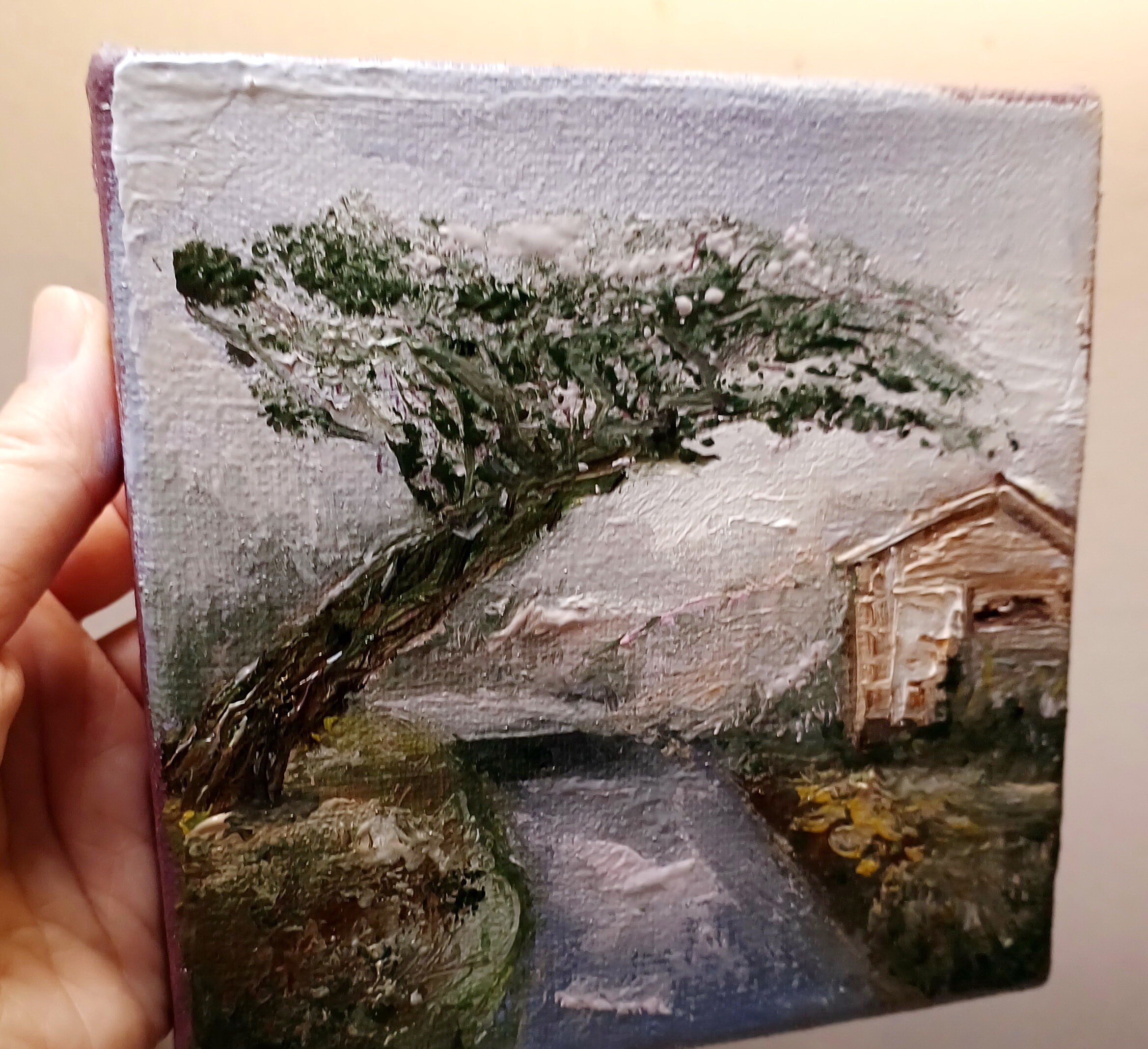Leaning Tree California 6x6in/15x15cm/slanted Tree Point Reyes Ca ...