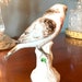 French Porcelain Bird, Mark of Edmé Samson After Meissen, 6 Inch ...