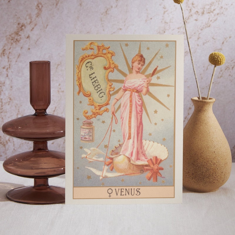 Vintage Venus - Etsy