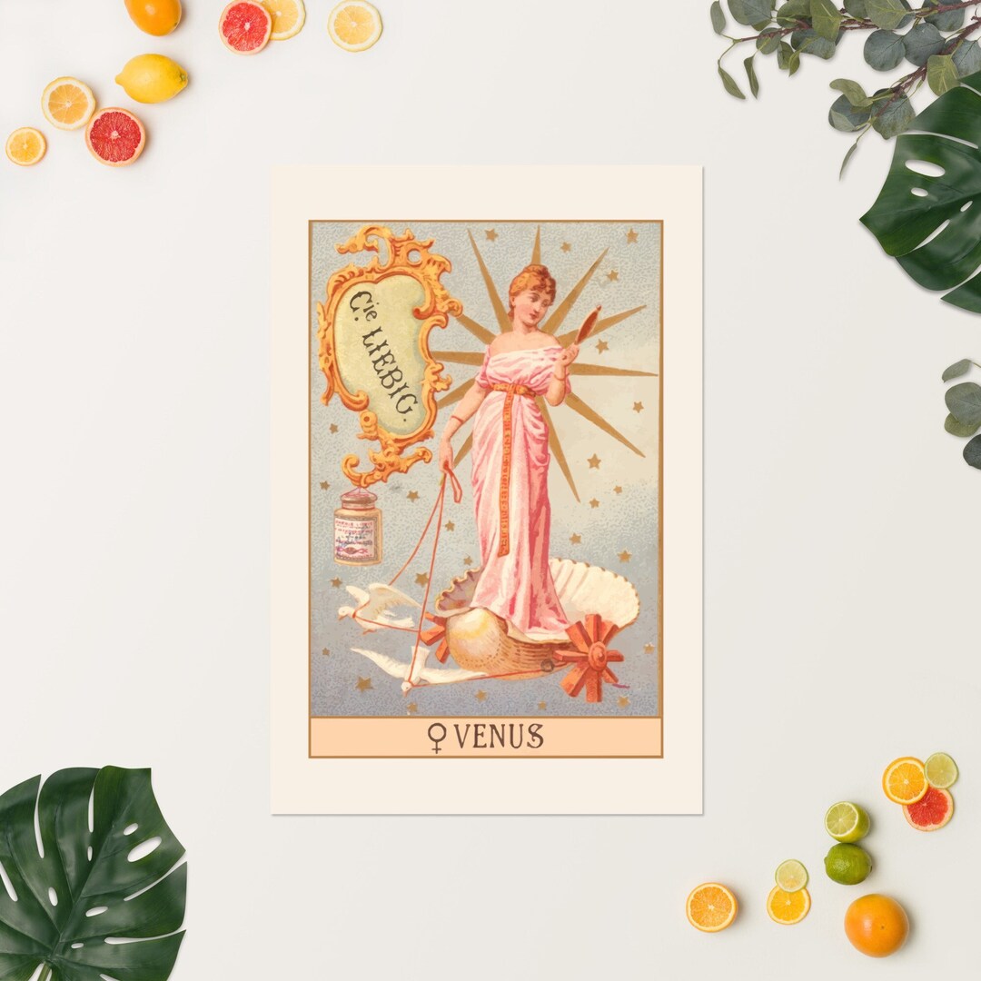 Vintage Venus Poster // Goddess, Mythology, Spiritual, 1800s, Antique ...