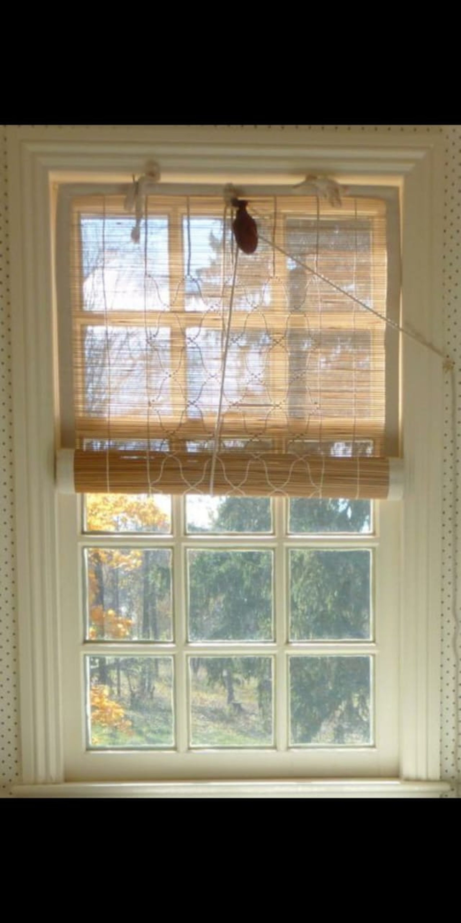 Cross Thread Design Chick Blind Shade Window Curtain GILAS PATTERN or ...