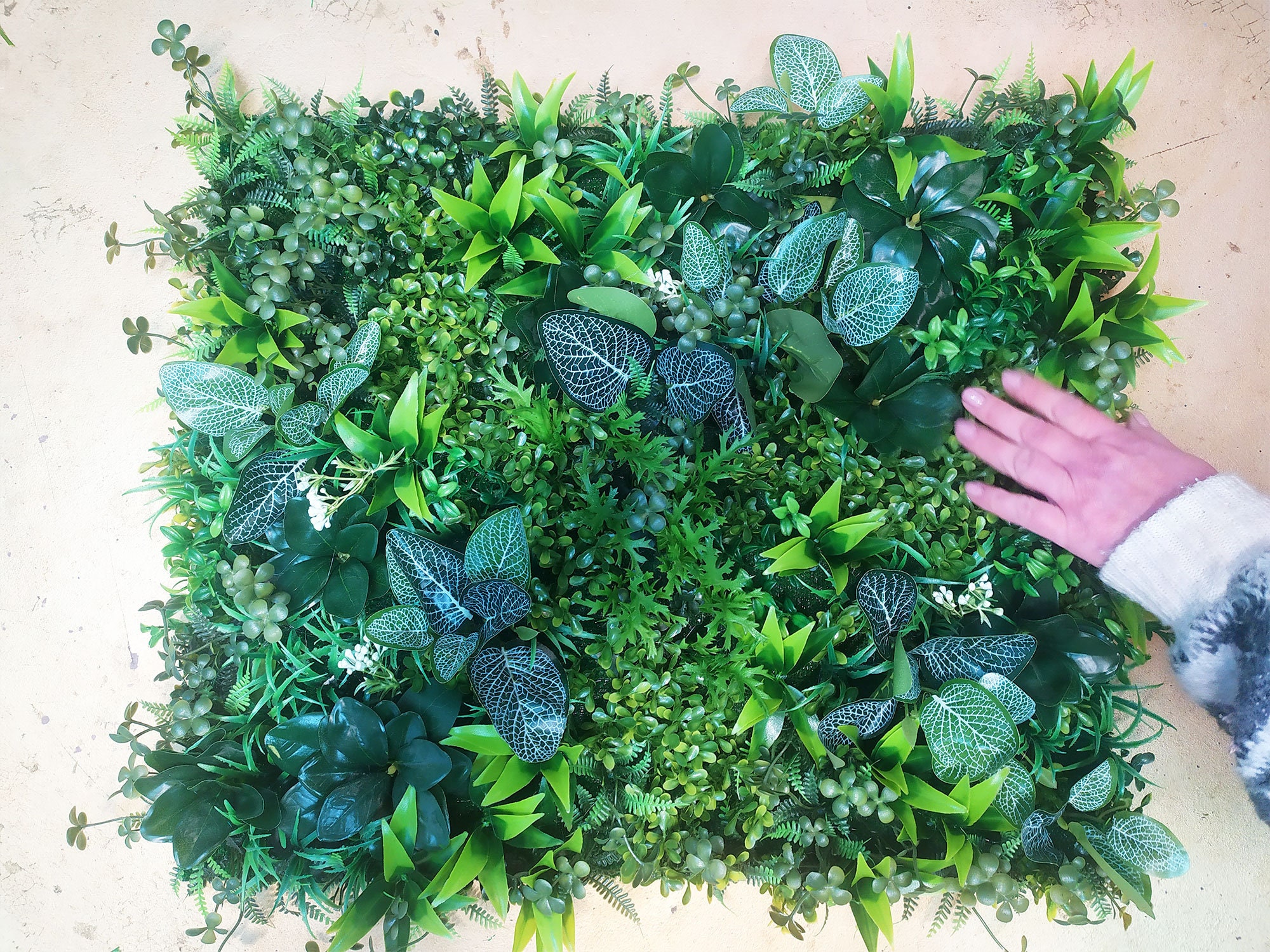 Vertical Gardening, Custom Green Phytowalls, Artificial Plant Wall ...