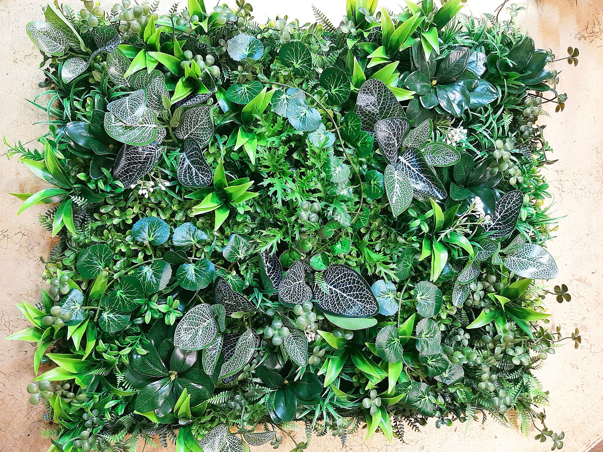 Vertical Gardening, Custom Green Phytowalls, Artificial Plant Wall ...
