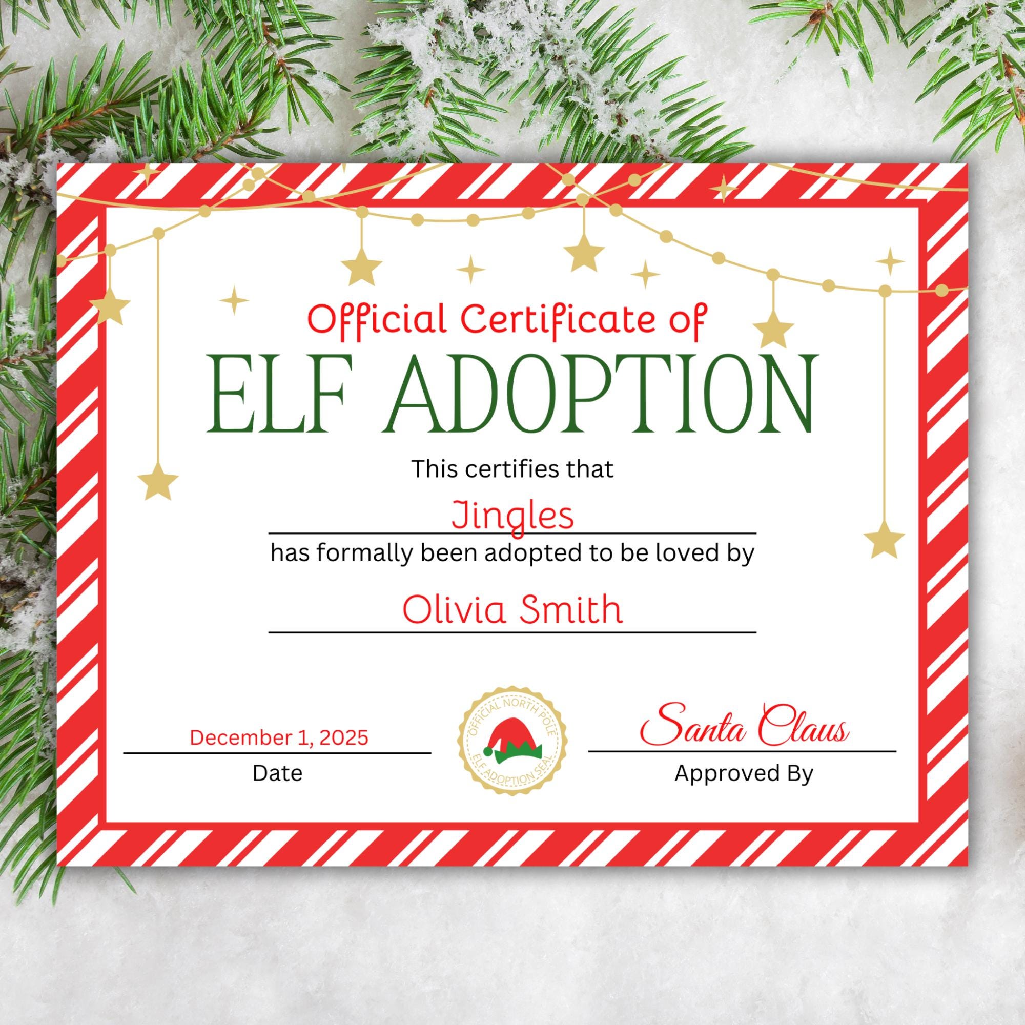 Editable Elf Adoption Certificate: Instant Download PDF, Printable ...