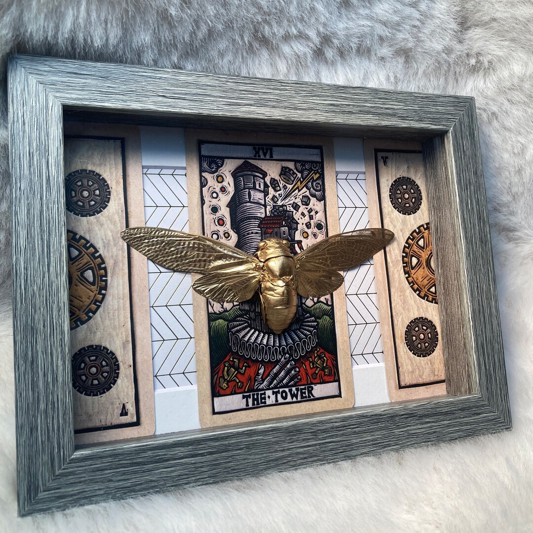 Gold Cicada and the Tower Tarot Card Grey Frame 5x7 Shadow Box, Insect ...