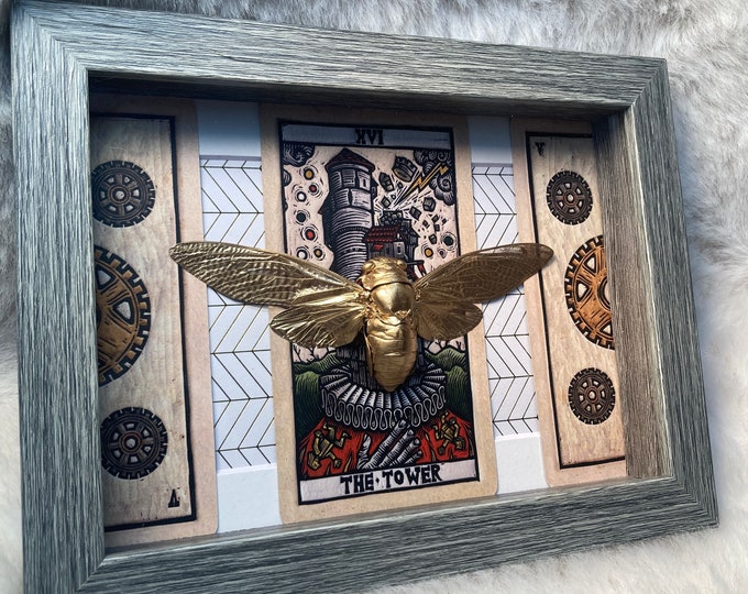 Gold Cicada and the Tower Tarot Card Grey Frame 5x7 Shadow Box, Insect ...