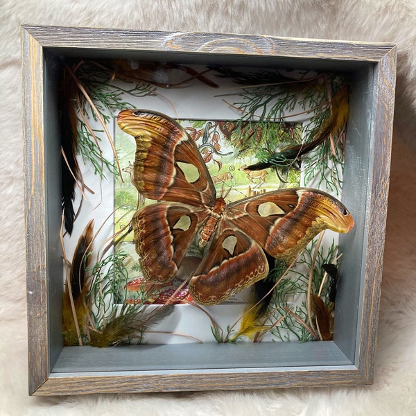 12x12 Shadow Box - Etsy