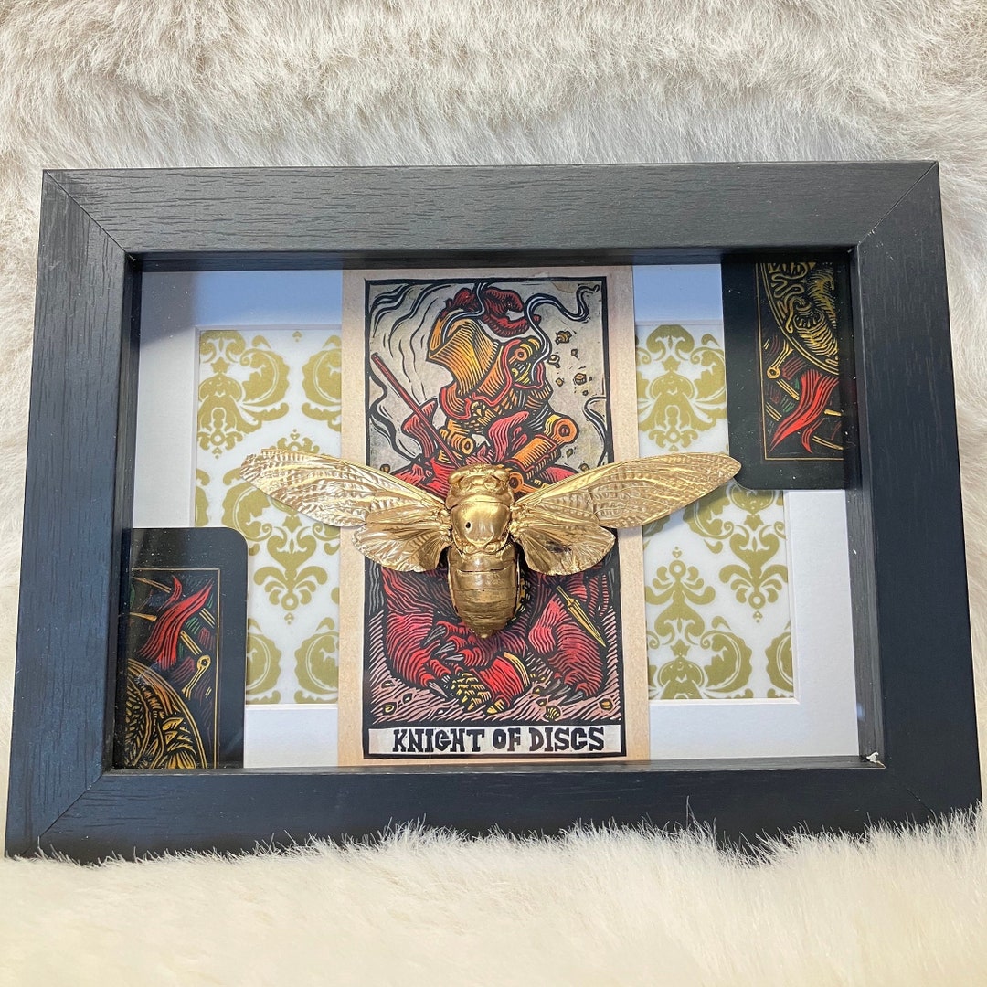Gold Cicada With Knight of Discs Tarot Card Shadowbox - Etsy