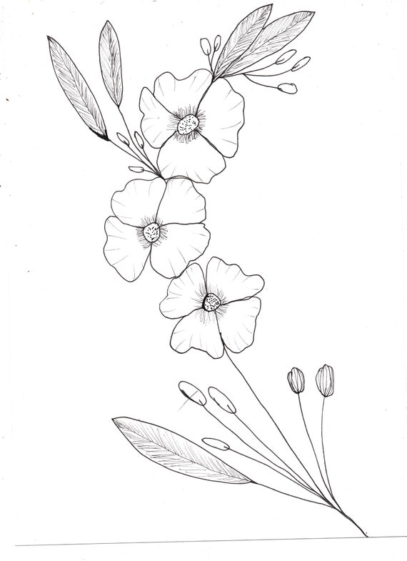Line Drawing Flower Simple