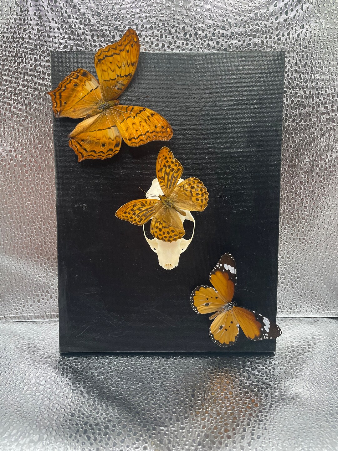 Butterflies and Mink Skull Protection - Etsy