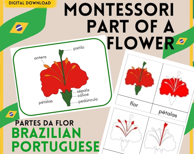 Parts of a Flower Montessori 3 Part Cards Bundle in Brazilian ...
