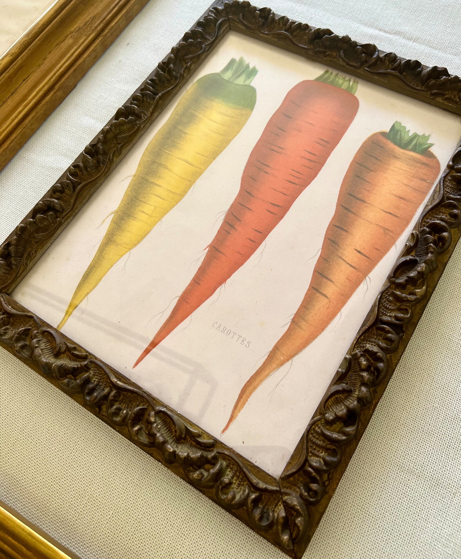 Choose Your Piece Vintage Gallery Wall Vegetable Garden Strawberry Carrot Patch Bird Bug Framed ...