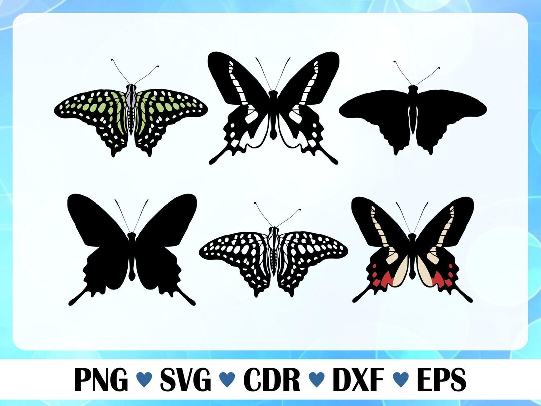 Butterfly Files for Cricut, Butterfly SVG, Butterfly SVG Layered ...