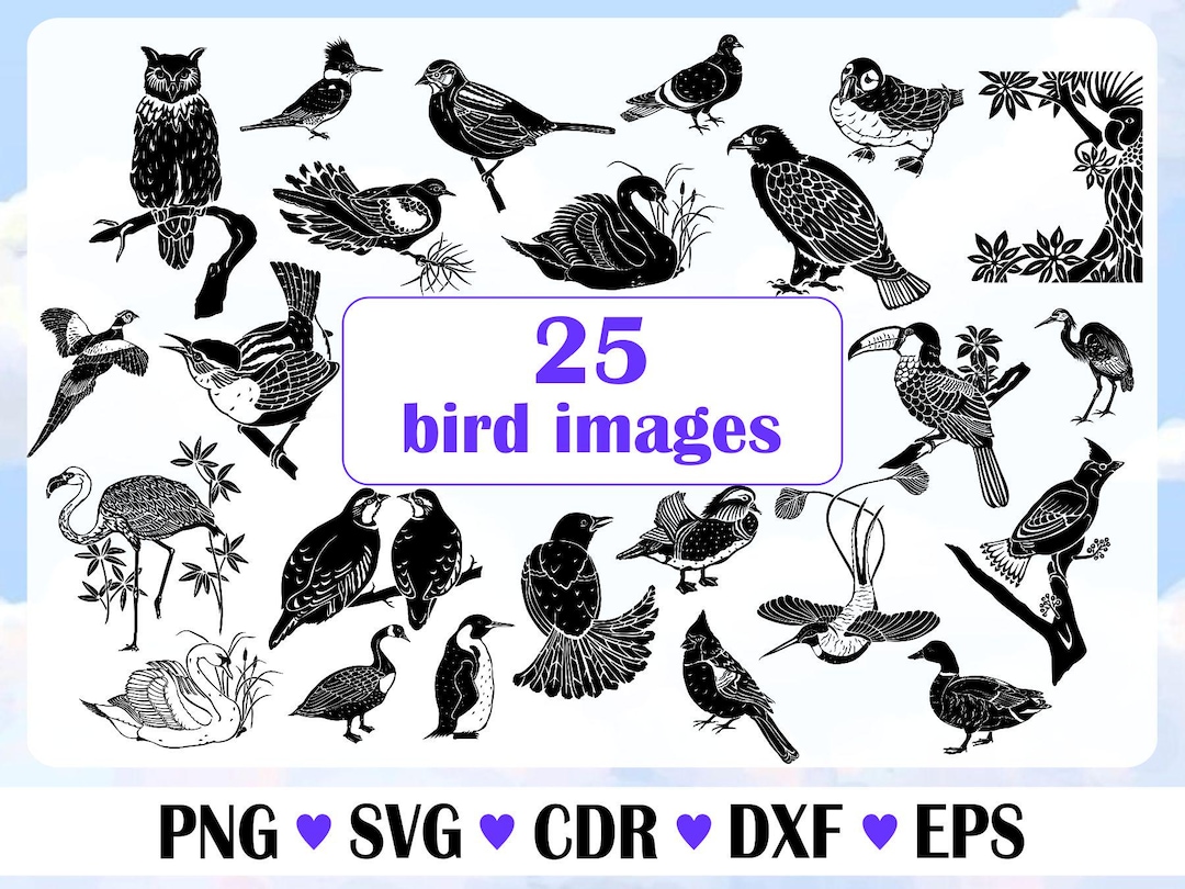 Set of Birds Silhouette, Vector Files, Birds Ornament Png, Birds ...
