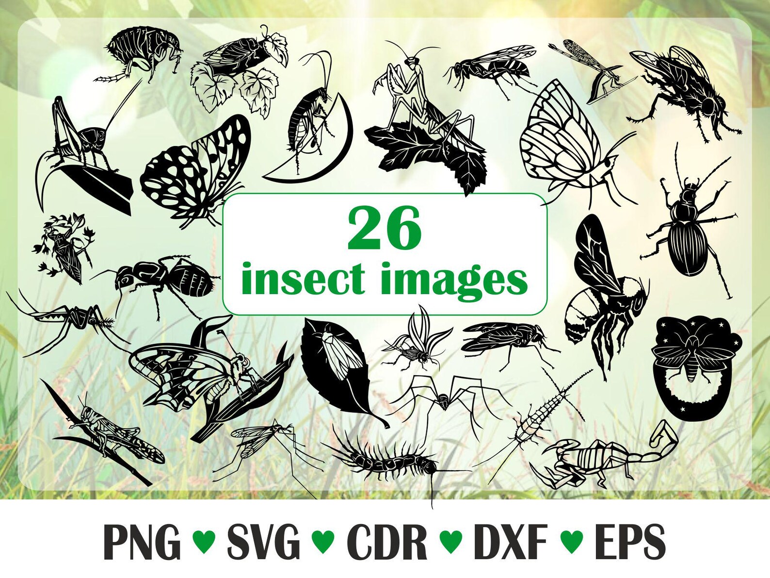 Set of Insects Silhouette, Vector Files, Insects Ornament Png, Insects ...