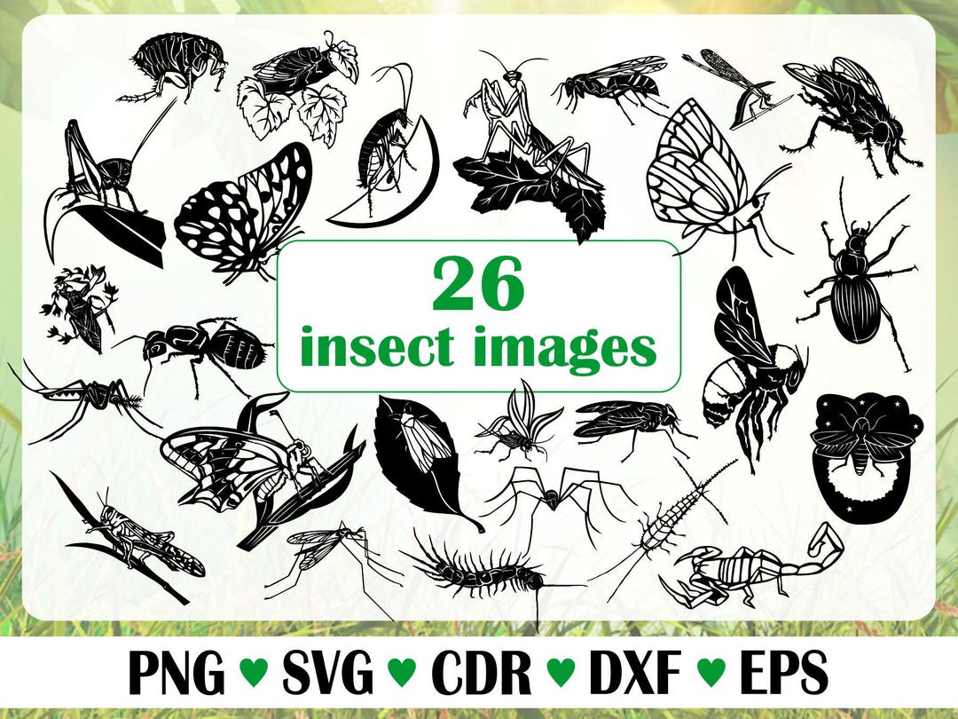 Set of Insects Silhouette, Vector Files, Insects Ornament Png, Insects ...