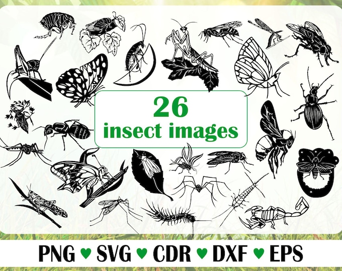 Insects Svg, Insects Png, Insects Silhouettes, Insects Zentangle Svg ...