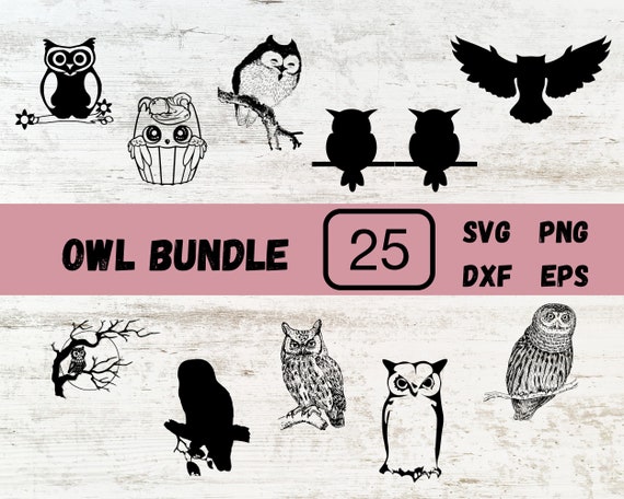 Owl SVG Owl Clipart Digital Download Owl Vector SVG for - Etsy