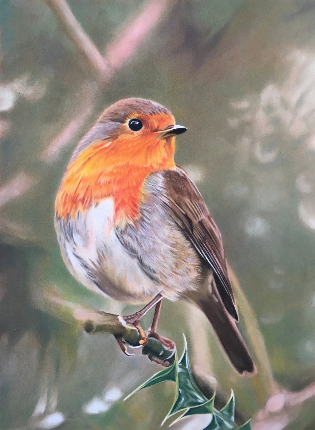 A Detailed Painting of a Robin Redbreast Bird on a Tree Branch, Robin ...