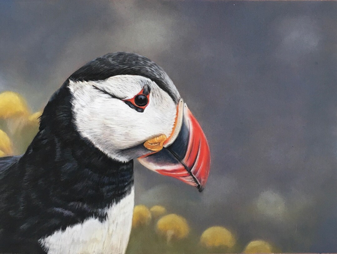 Puffin Pastel Art, Puffin Painting, Puffin Giclée Print From Original ...
