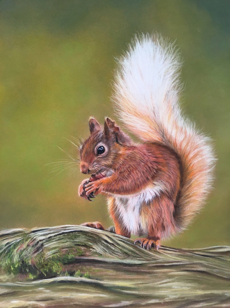 Red Squirrel Art, Cute Red Squirrel Painting, Red Squirrel Print From ...