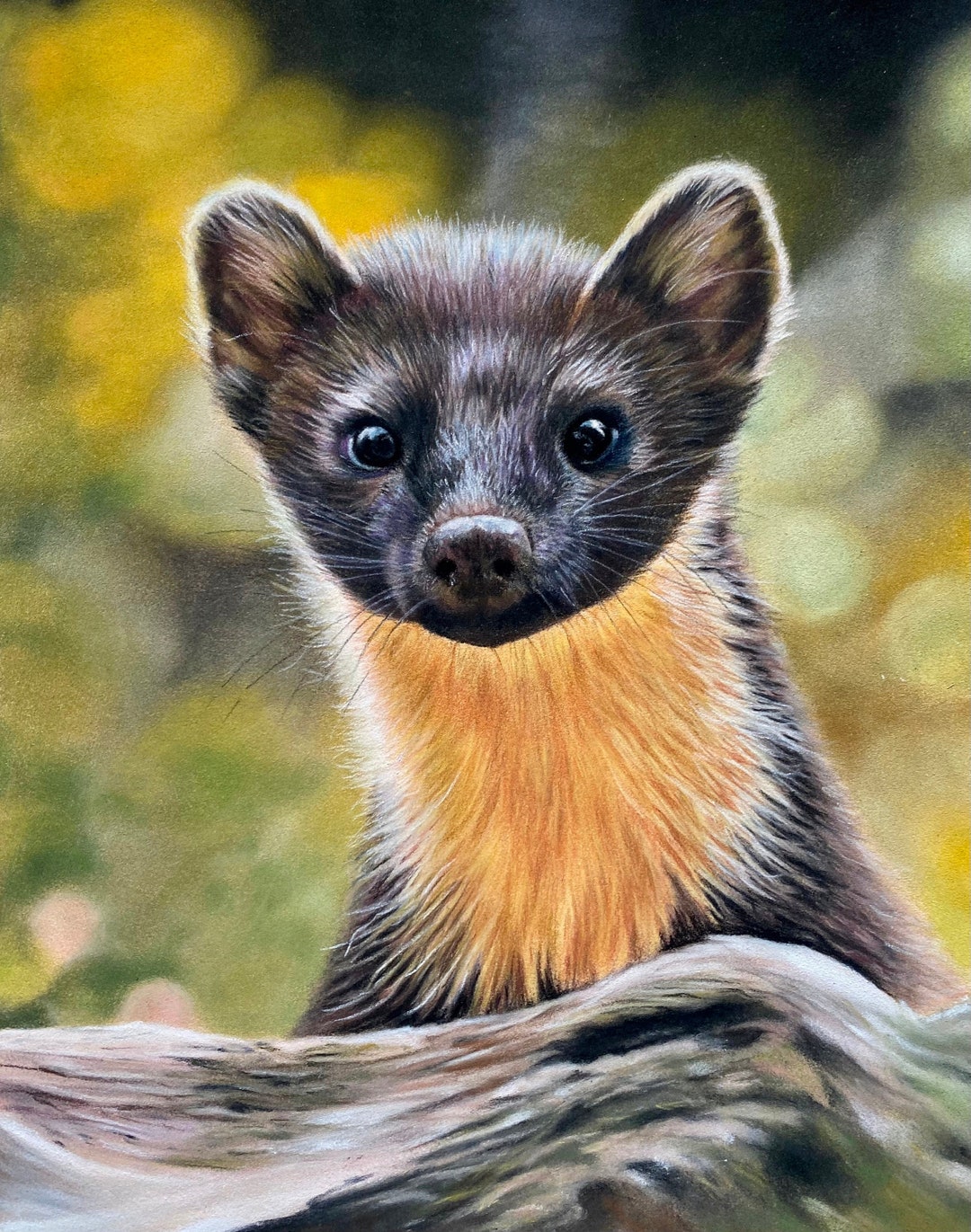Peeping Tom the Pine Marten Painting, Pine Marten Art, Pine Marten ...