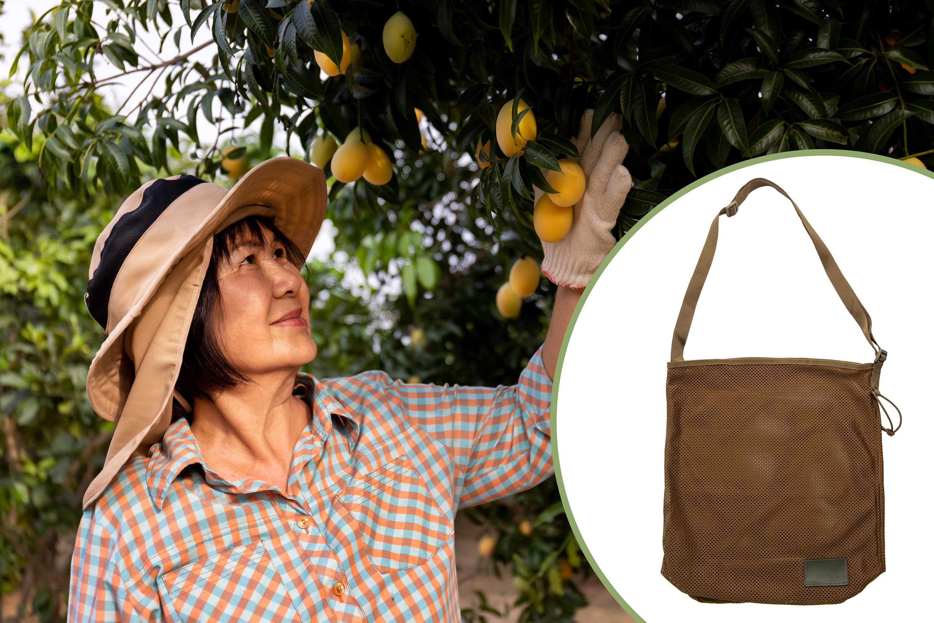 Forage Bag for Morels Picking Fruit Mesh Farm Garden Foraging - Etsy