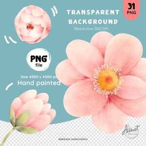 Spring Flowers Watercolor Clipart Summer Flowers Clipart Commercial Use ...