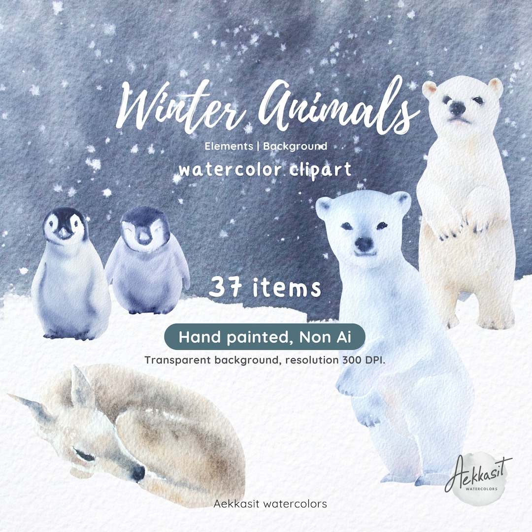 Winter Animals Watercolor Clipart Watercolor Penguins Polar Bear Png ...