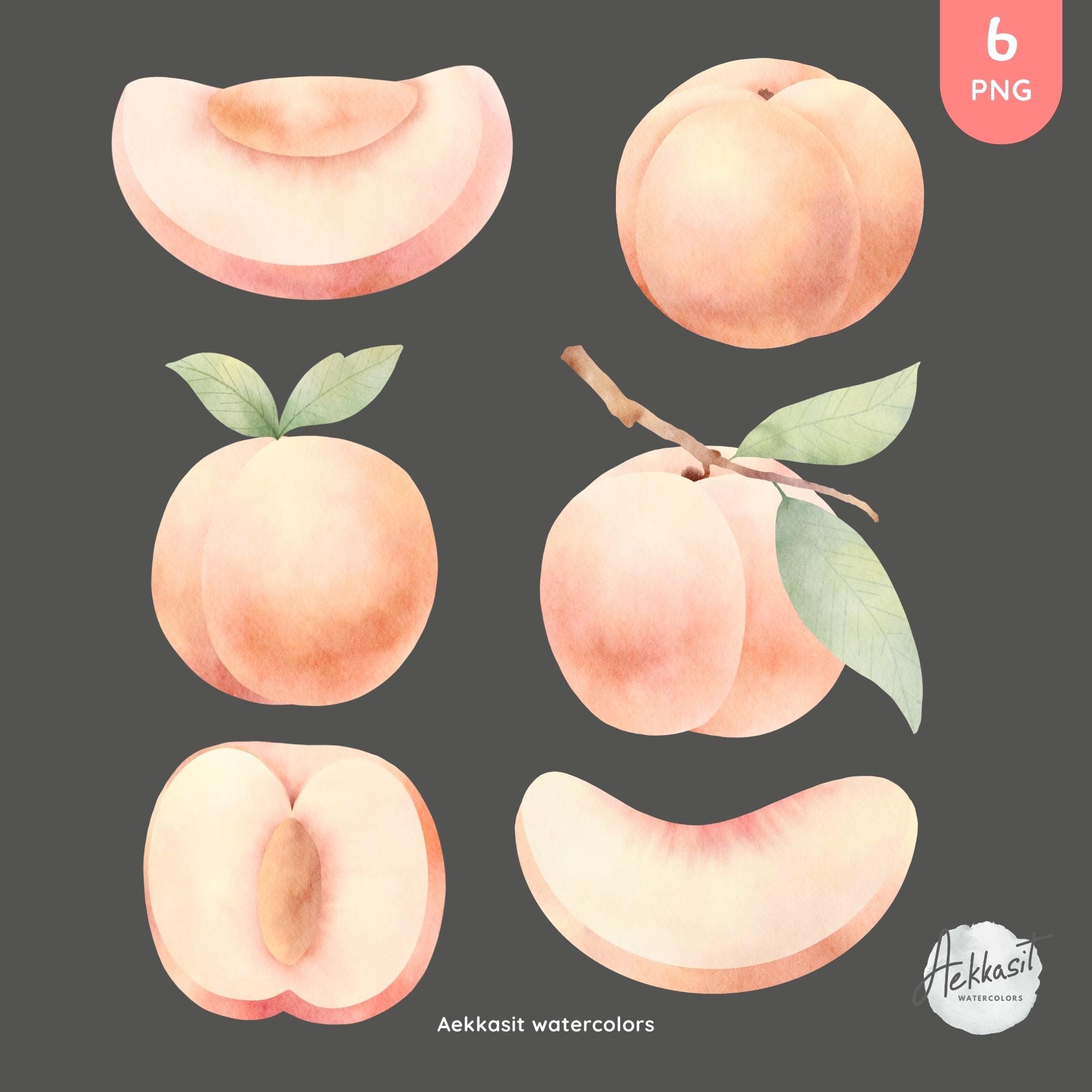 Peach Watercolor Graphics Peaches Watercolor Clipart Greenery Clipart ...