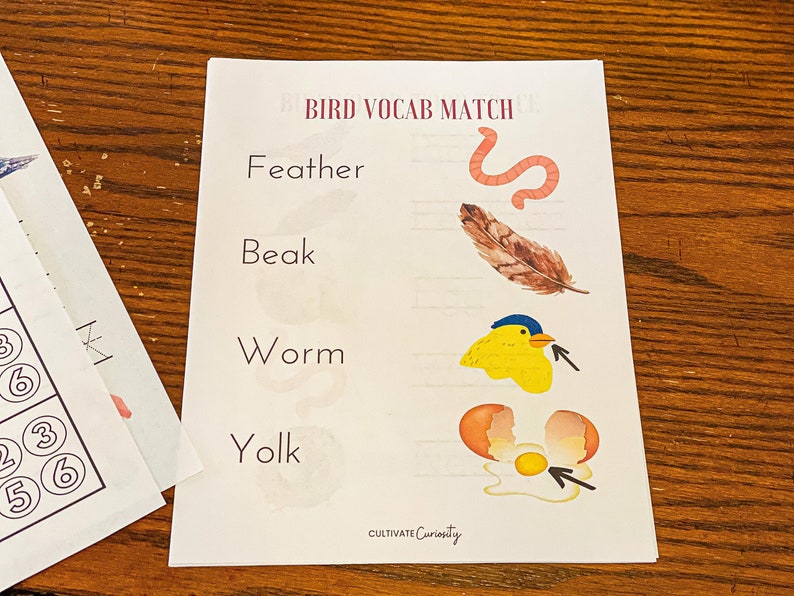 Bird Pre-k Workbook | Homeschool Printable Bundle Pack of Bird ...