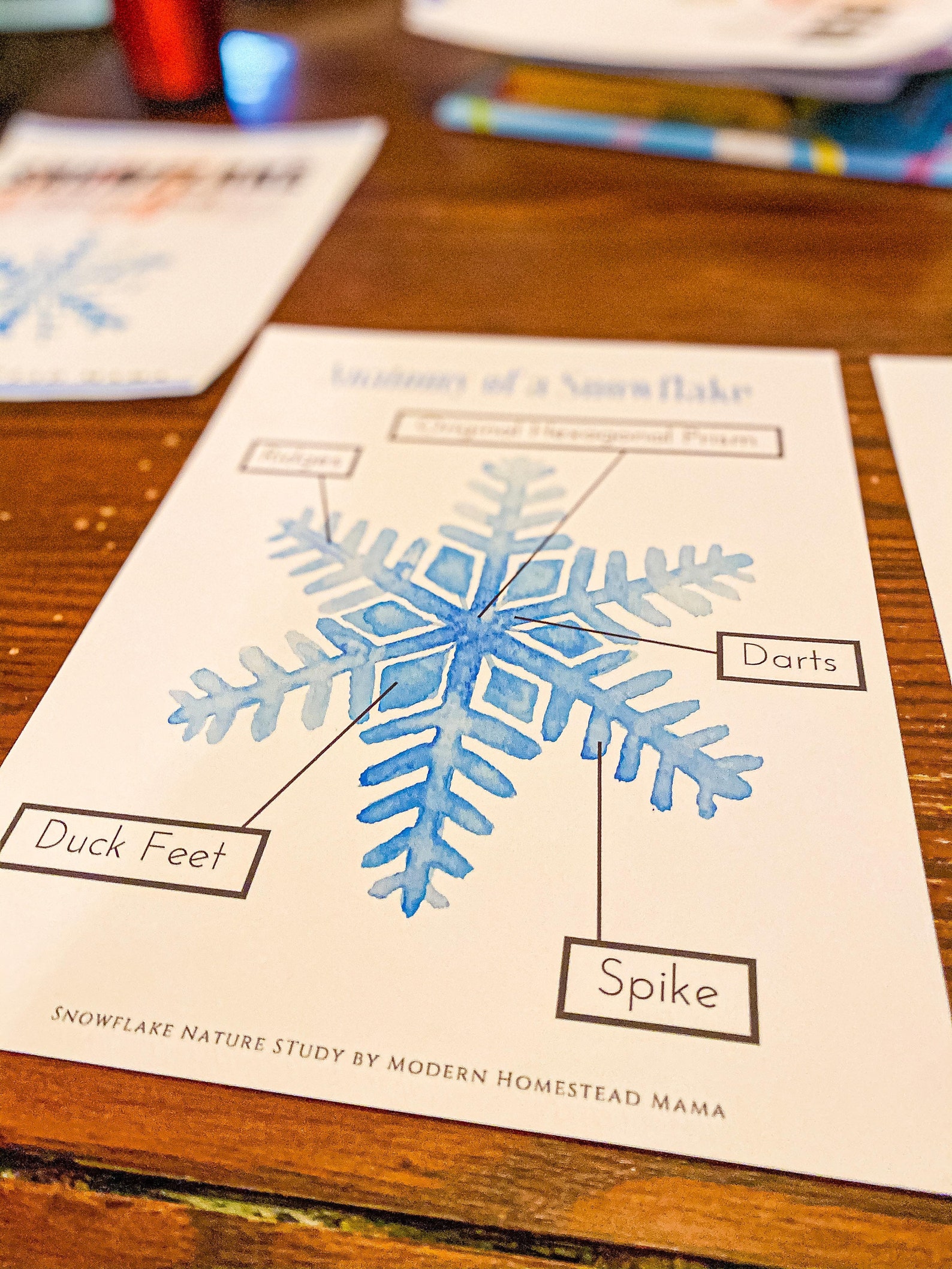 Anatomy of a Snowflake | Mini Snowflake Winter Homeschool Study for Pre ...