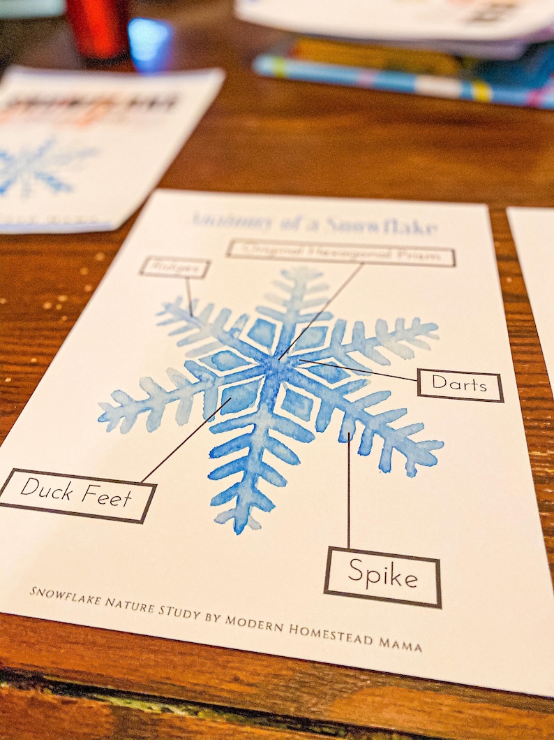 Anatomy of a Snowflake | Mini Snowflake Winter Homeschool Study for Pre ...